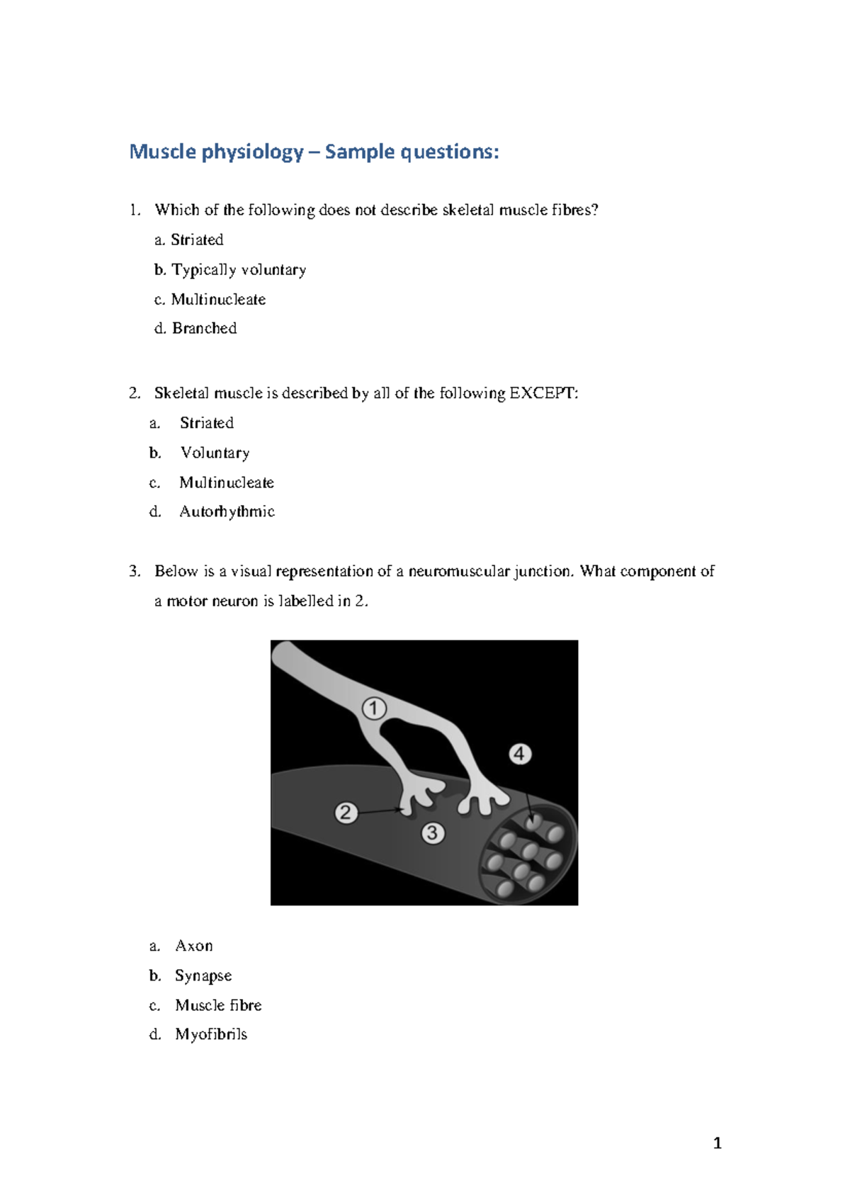 Muscle physiology – Sample questions - Muscle physiology – Sample ...