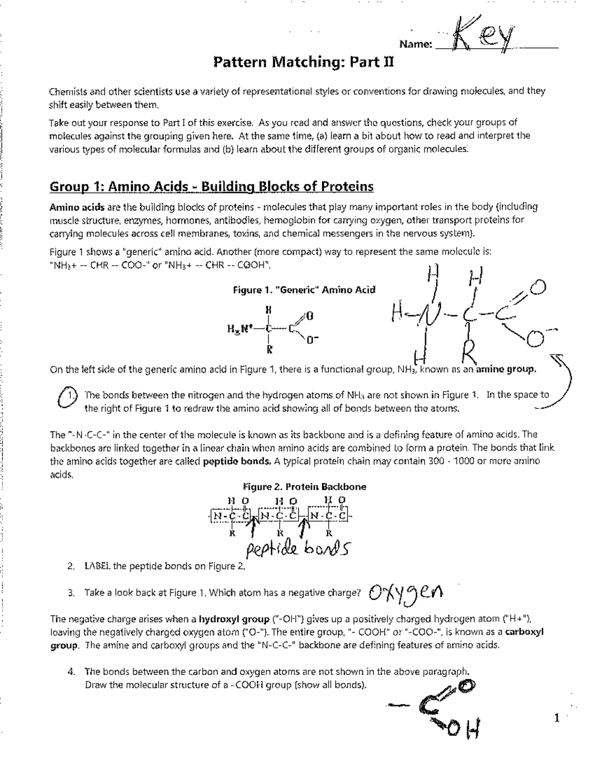 Biochemistrypatternmatchingkey - Studocu