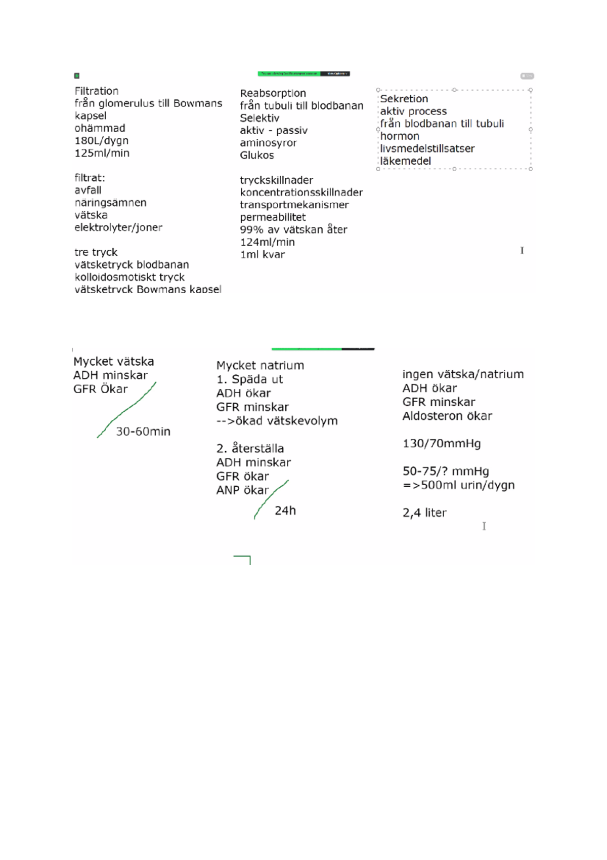 Dok1 - Hus - anatomi M0026H - Studocu