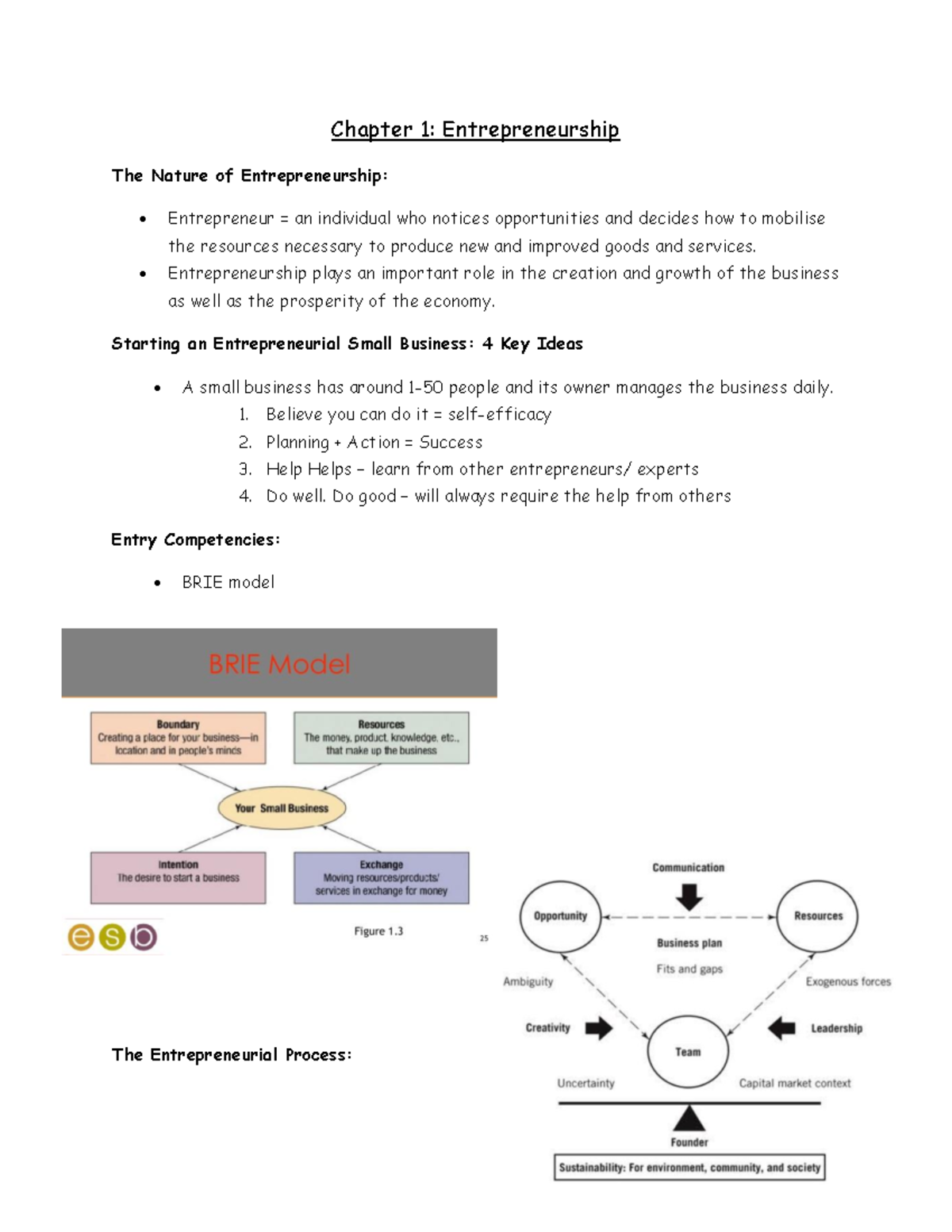 OBS 114 summary - Chapter 3A - Chapter 1: Entrepreneurship The Nature ...