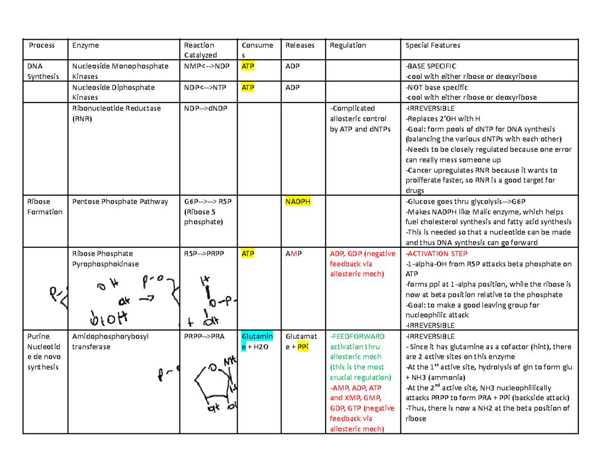 Enzyme Chart Lecture 5 enzyme chart enzyme chart table summary ...