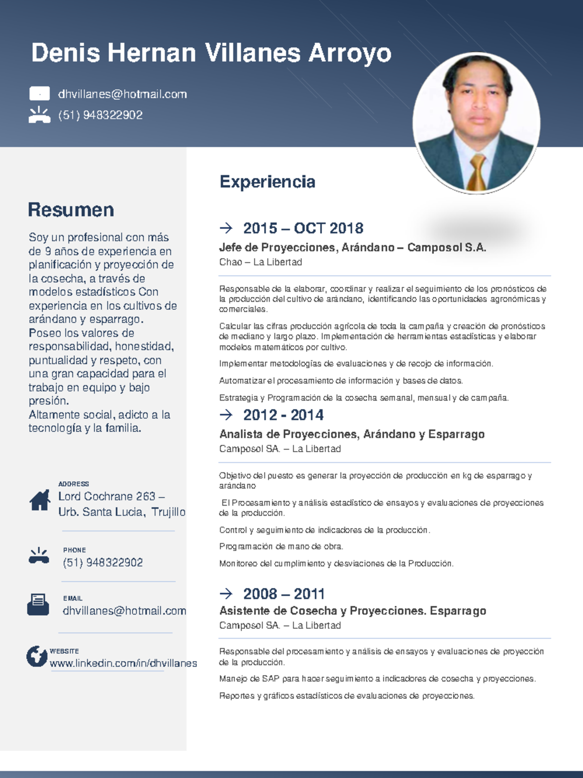 Modelo cv - esto te servirá de ayuda para mejorar tu CV y así puedas lograr un eficiente - Denis ...