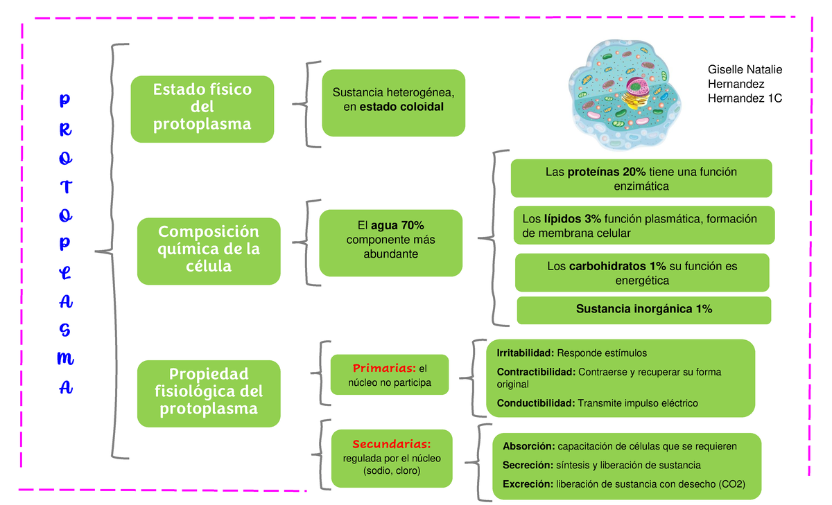 Cuadro Sinoptico Estados de la procariota Estado fÌsico del protoplasma ...