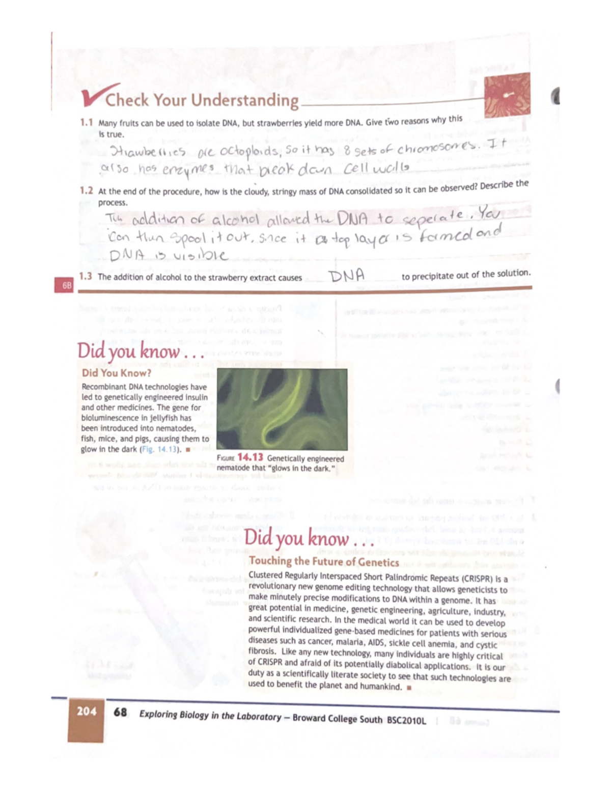 Check Your Understanding - Studocu