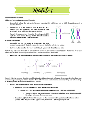 M3 - Porifera - PARAZOA: Simple, multicellular animals in which cells ...