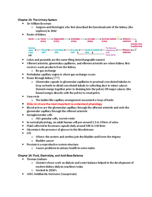 BIOL-233 Exam #4 Urinary System Study Guide - BIOL 233 – Exam #4 Study ...