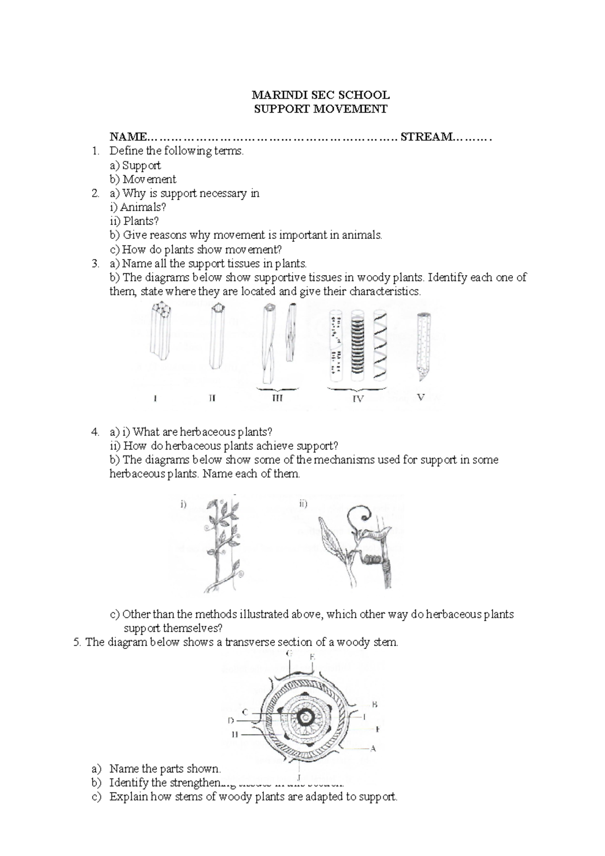 Support and Movement questions - MARINDI SEC SCHOOL SUPPORT MOVEMENT ...