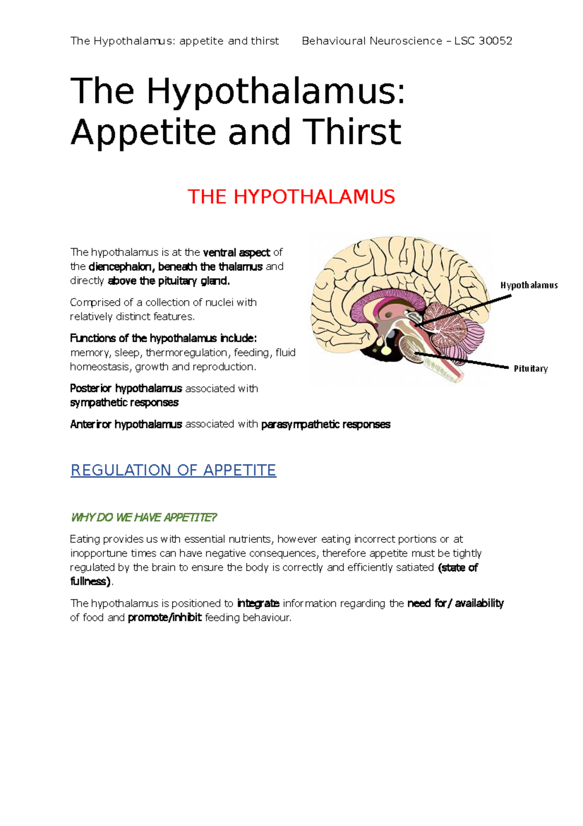 Lecture 3 - The hypothalamus Appetite and Thirst Notes - Hypothalamus ...