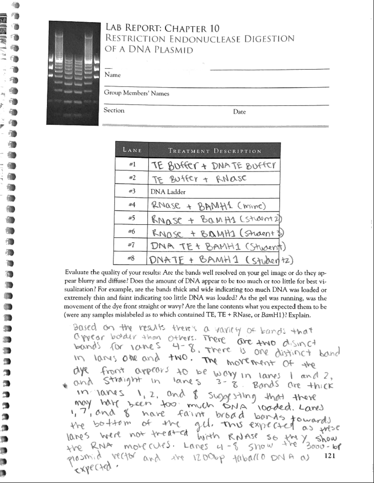 Lab report - BIOL 311 - Studocu