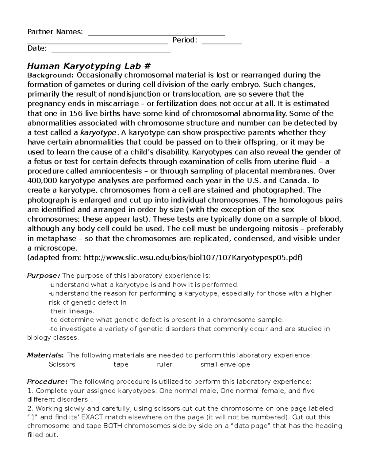 3 Karyotype Lab - lab - Partner Names ...