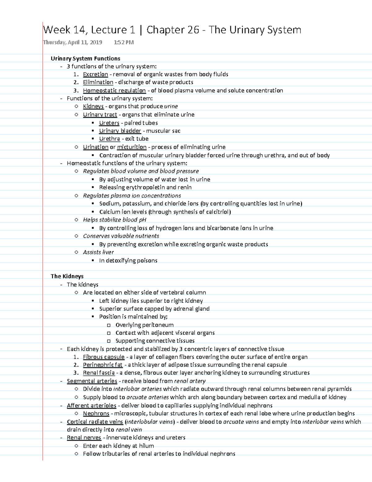 Chapter 26 - The Urinary System - Urinary System Functions 3 functions ...