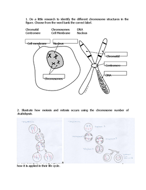 Module 2 Chromosome - Central Luzon State University Science City of ...