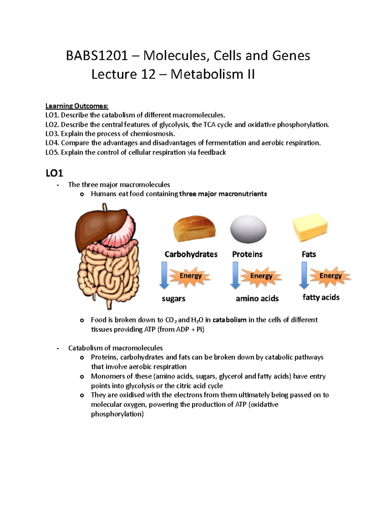 BABS1201 - Lecture 12 - BABS1201 – Molecules, Cells and Genes Lecture ...