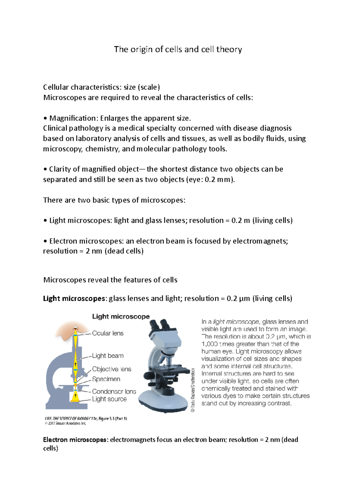 The origin of cells and cell theory part 2 - The origin of cells and ...