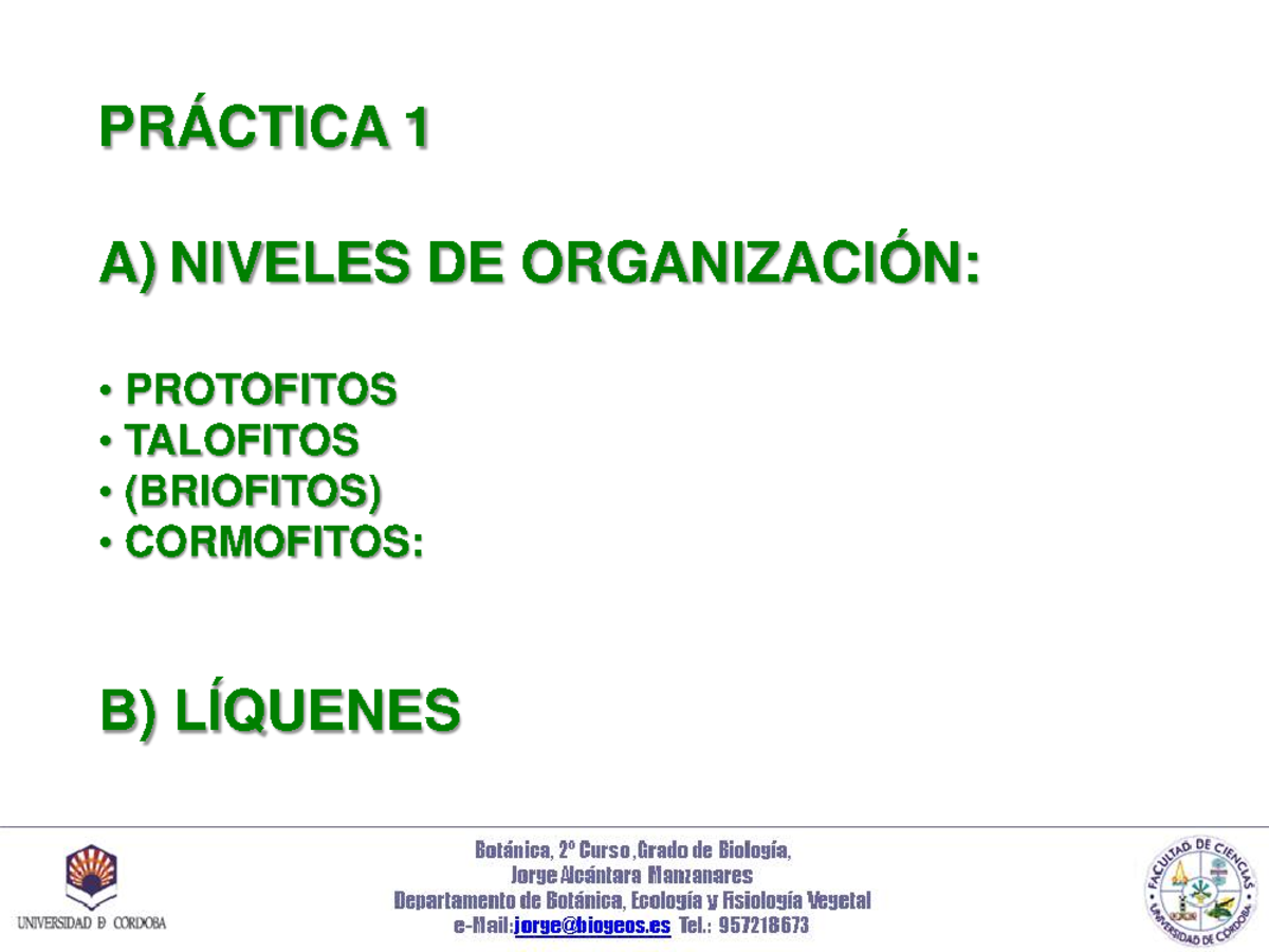Práctica 1 - Niveles de organización - 1 A) NIVELES DE PROTOFITOS ...