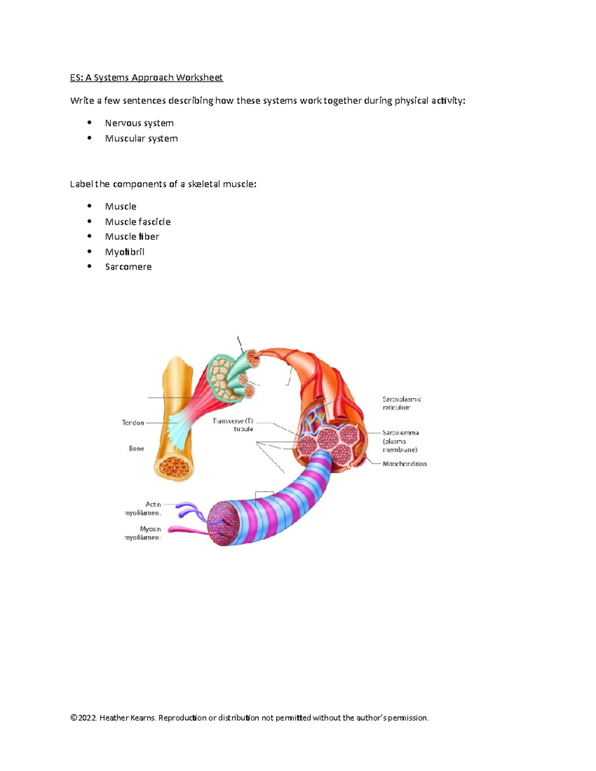 Student Worksheet - Systems Approach - ES: A Systems Approach Worksheet ...