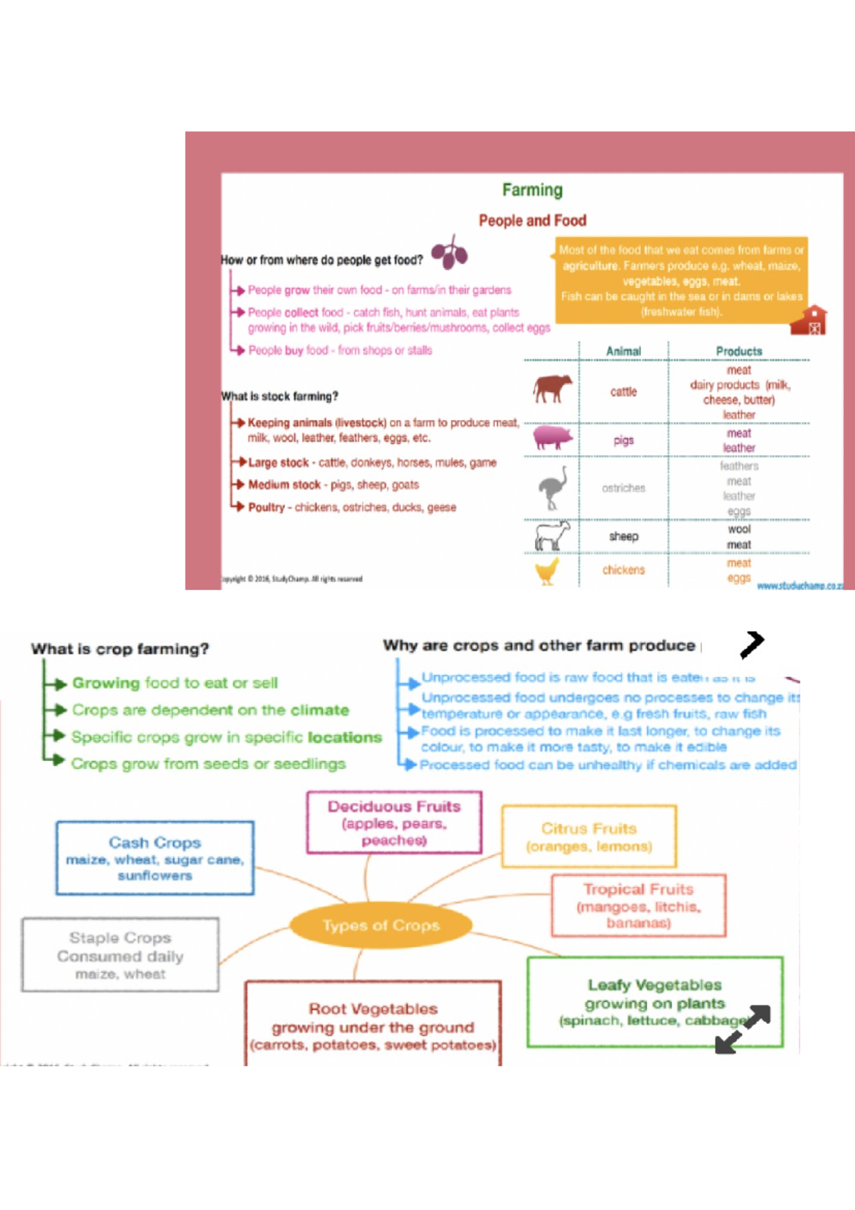 Social science grade 4 farming - PGCE101 - Studocu