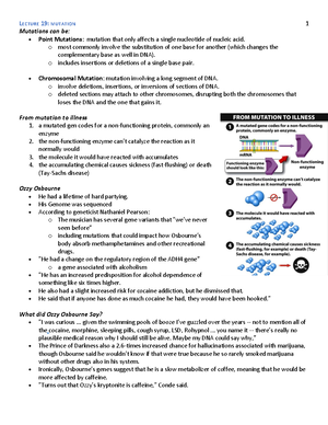 Lecture 4- Molecules of Life - LECTURE 4: MOLECULES OF LIFE 1 Elements ...