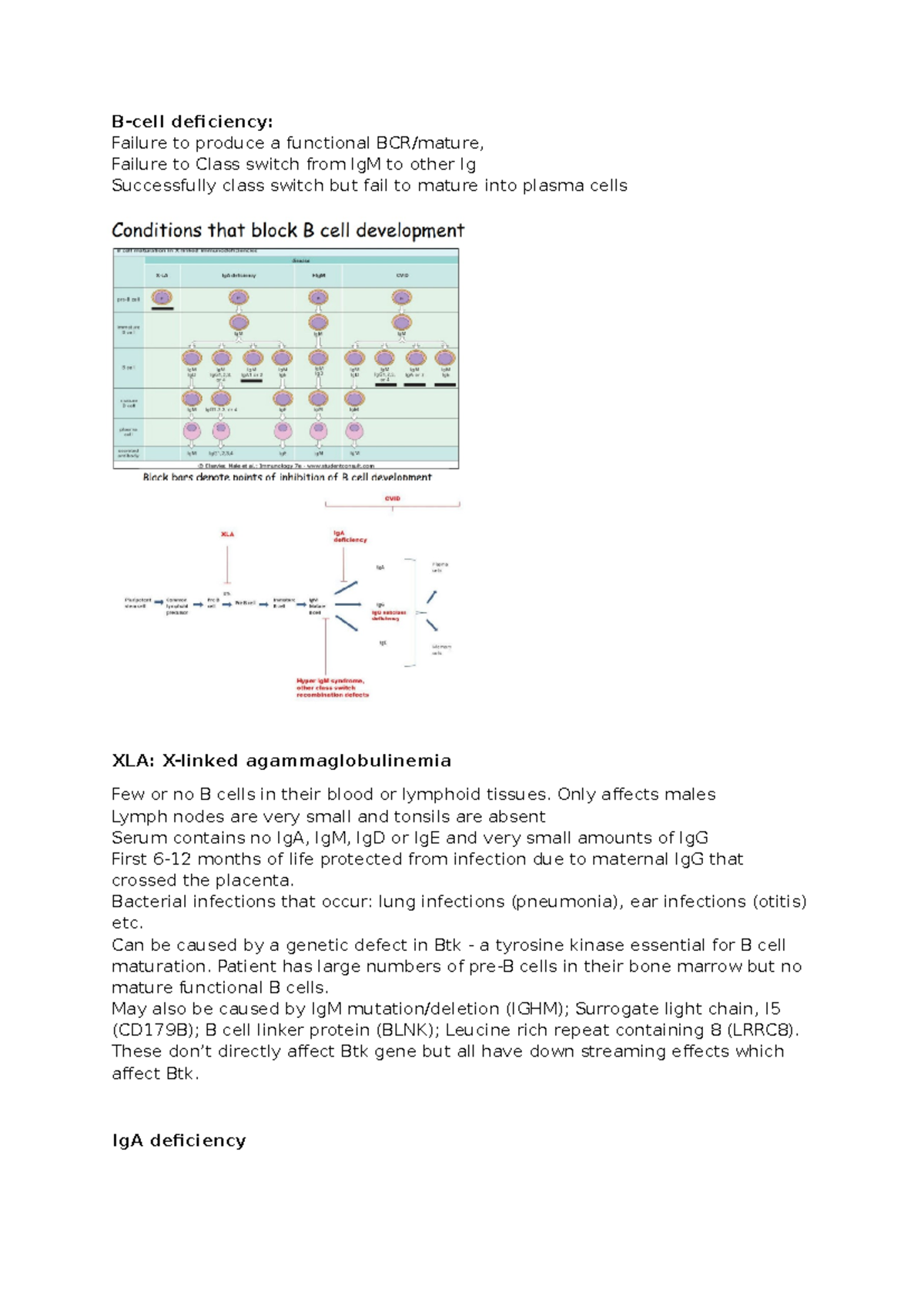 Immunodefiecency Notes - B-cell deficiency: Failure to produce a ...