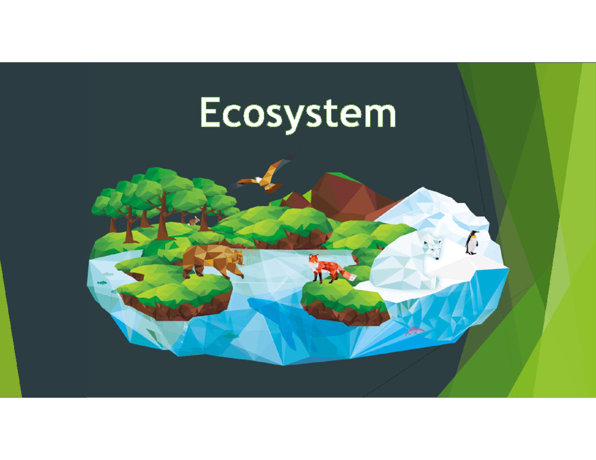 Ecosystem - Society and Technology BCA I - TU - Studocu