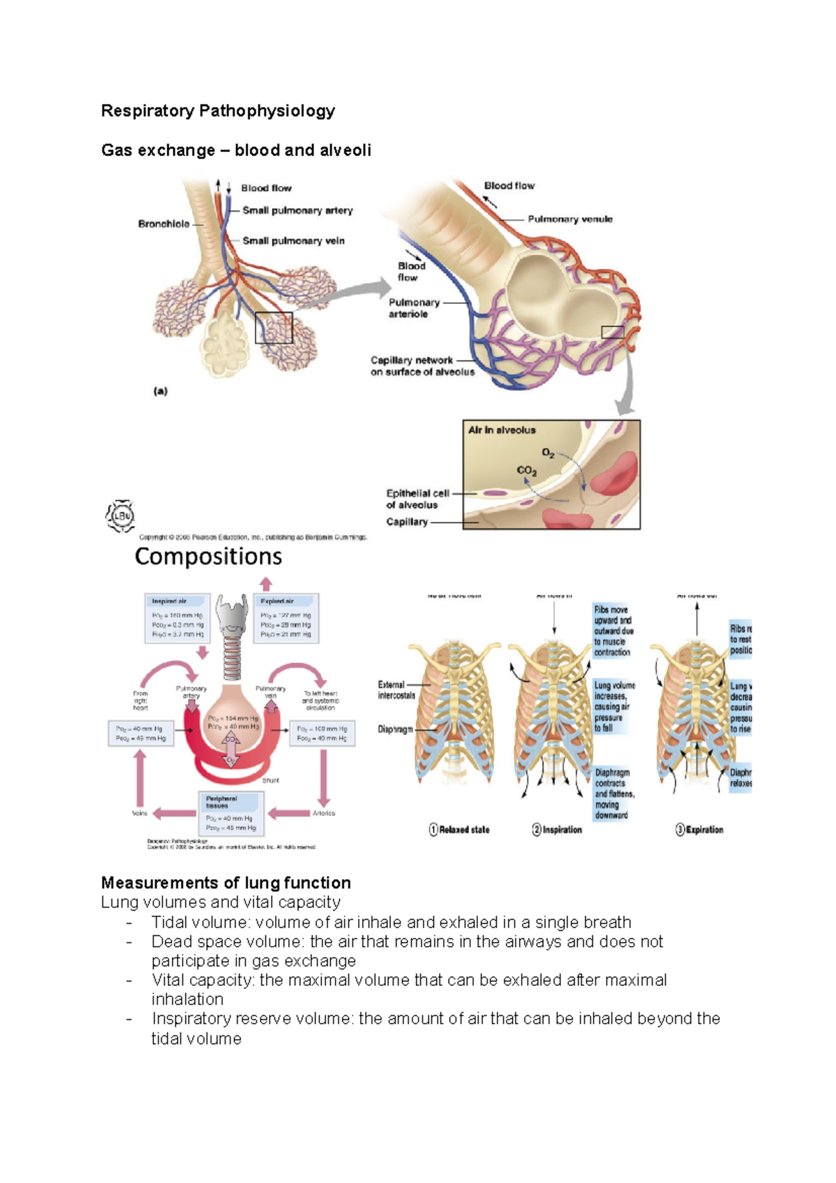 4-Respiratory Pathophysiology - Respiratory Pathophysiology Gas ...