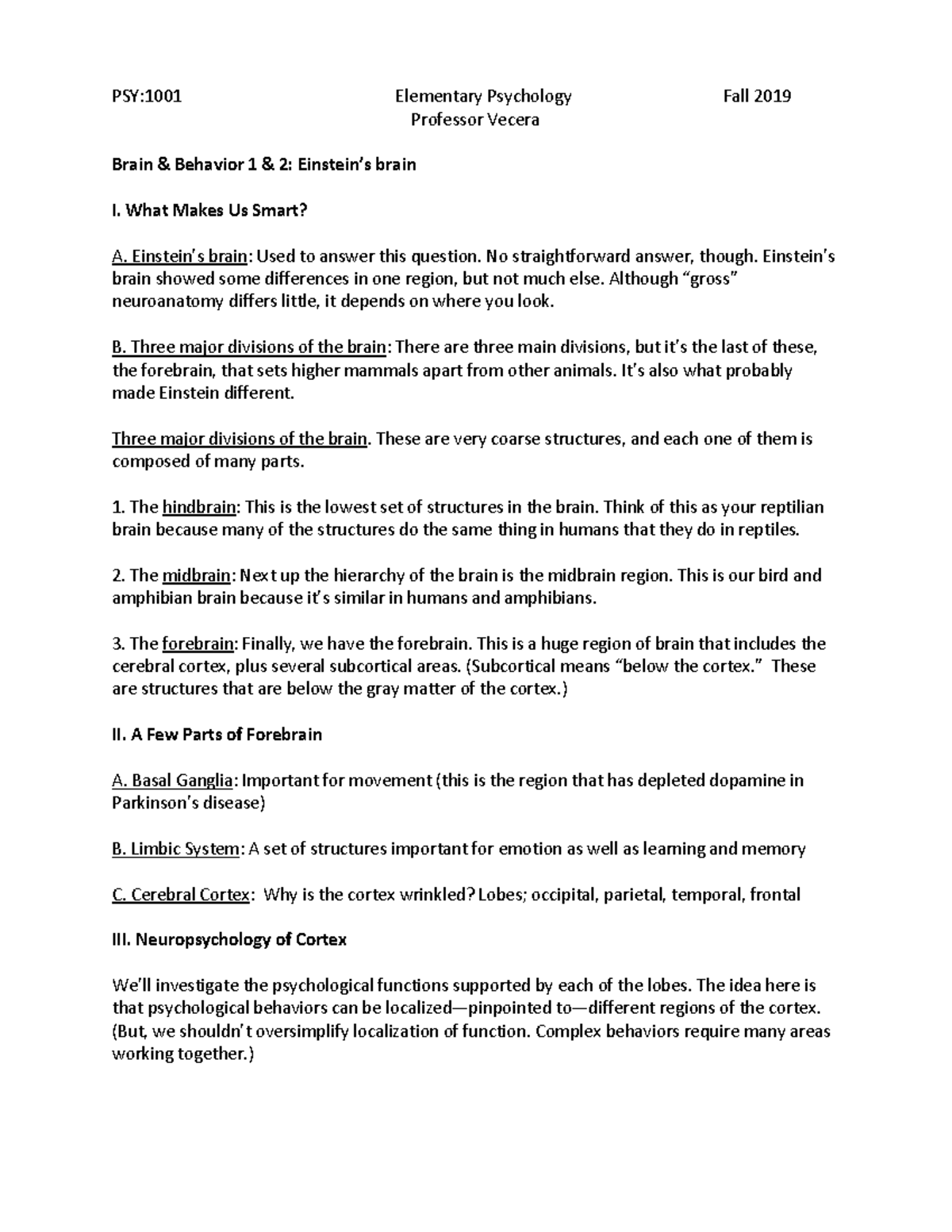 Einstein's brain 1 - Vecera: Lecture Outline. - Warning: TT: undefined function: 32 PSY:1001 ...