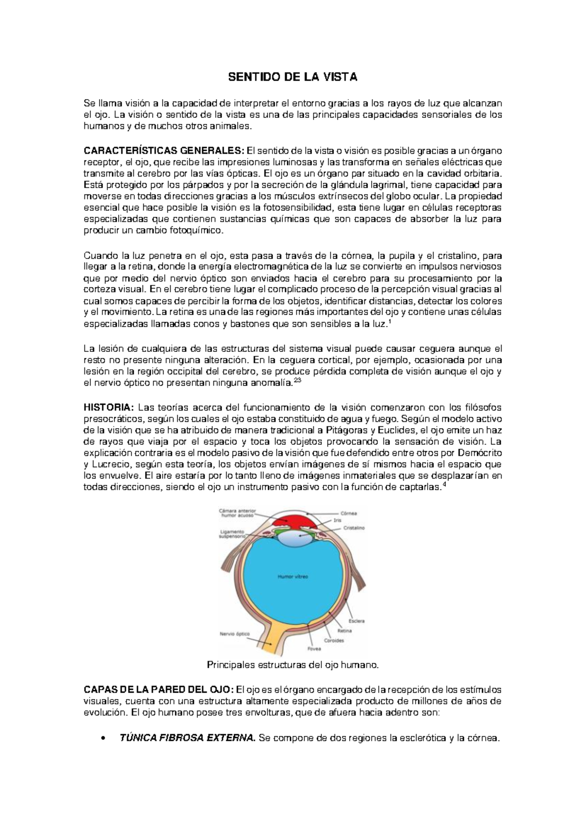 Sentidos DEL Cuerpo Humano - SENTIDO DE LA VISTA Se llama visión a la ...