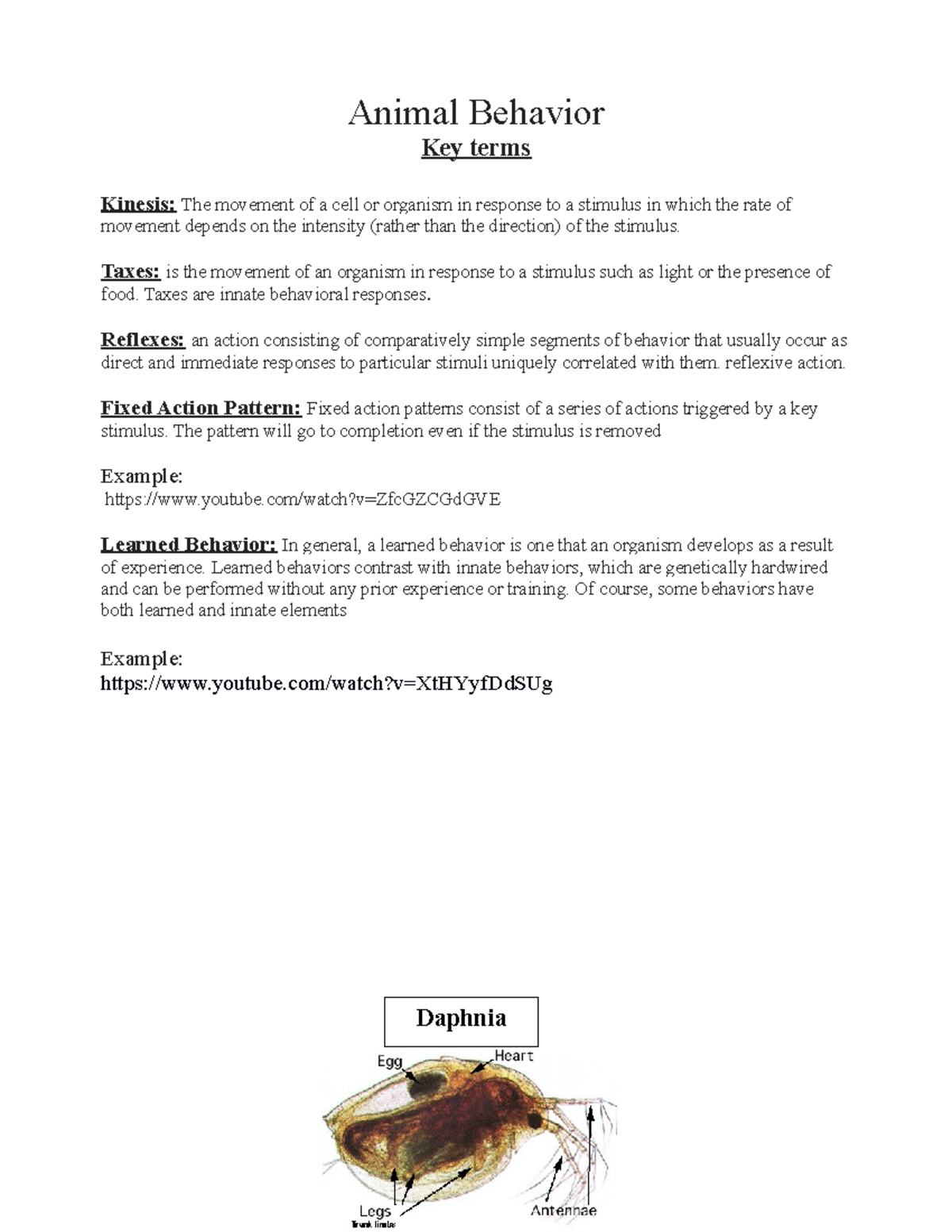 Ecology Lab and Animal Behavior - Animal Behavior Key terms Kinesis ...