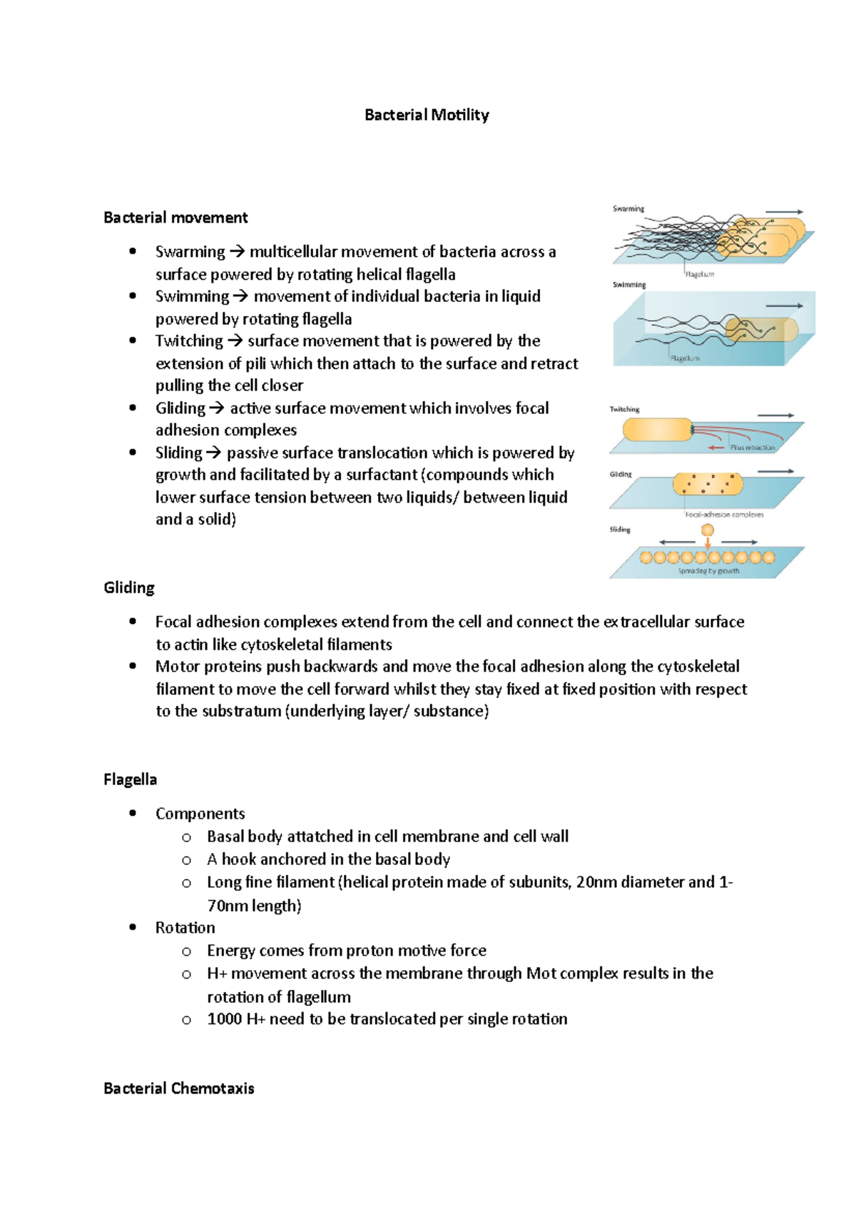 Bacterial Motility - Lecture notes 5 - Bacterial Motility Bacterial ...