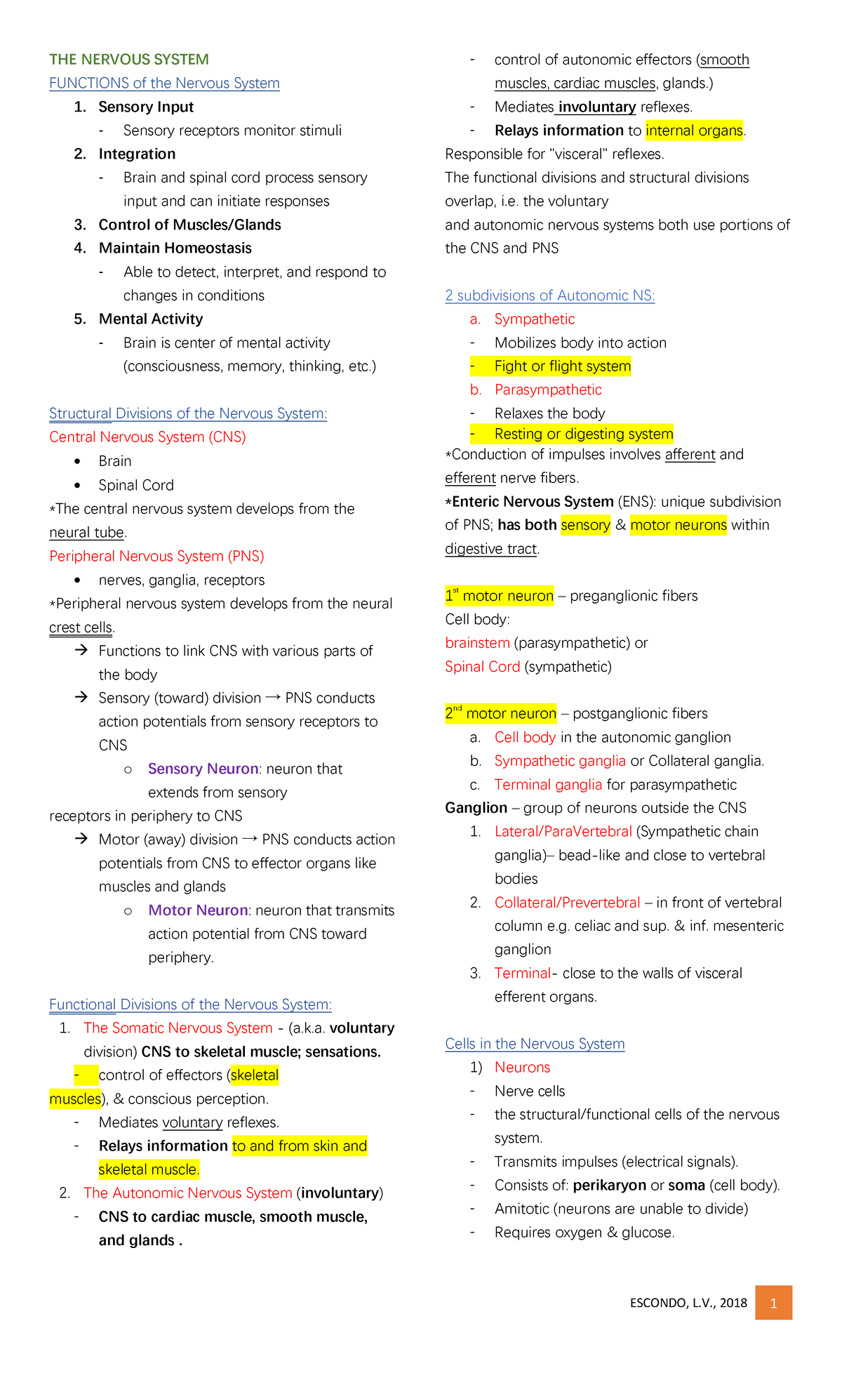 Nervous system reviewer - THE NERVOUS SYSTEM muscles, cardiac muscles ...