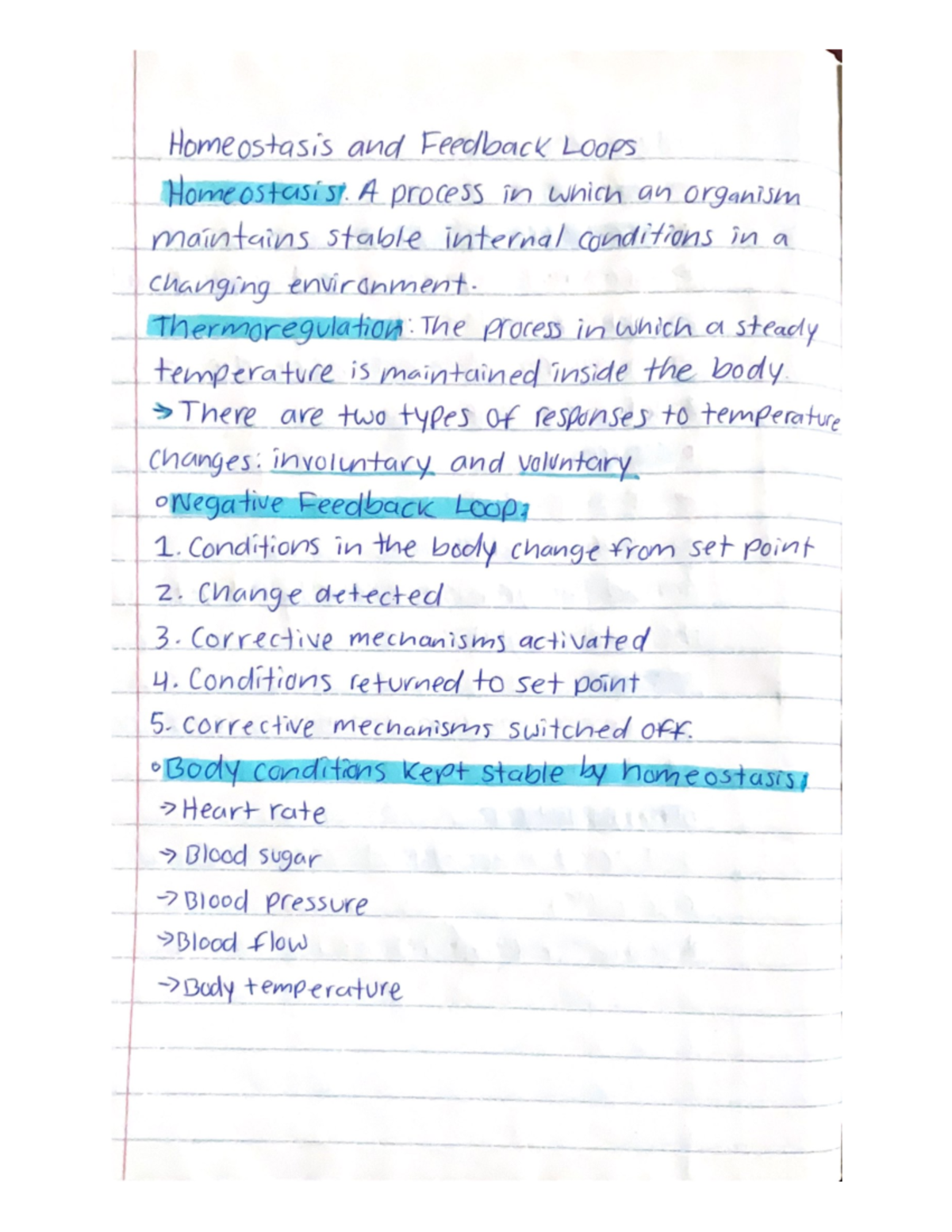 Homeostasis Notes - Studocu