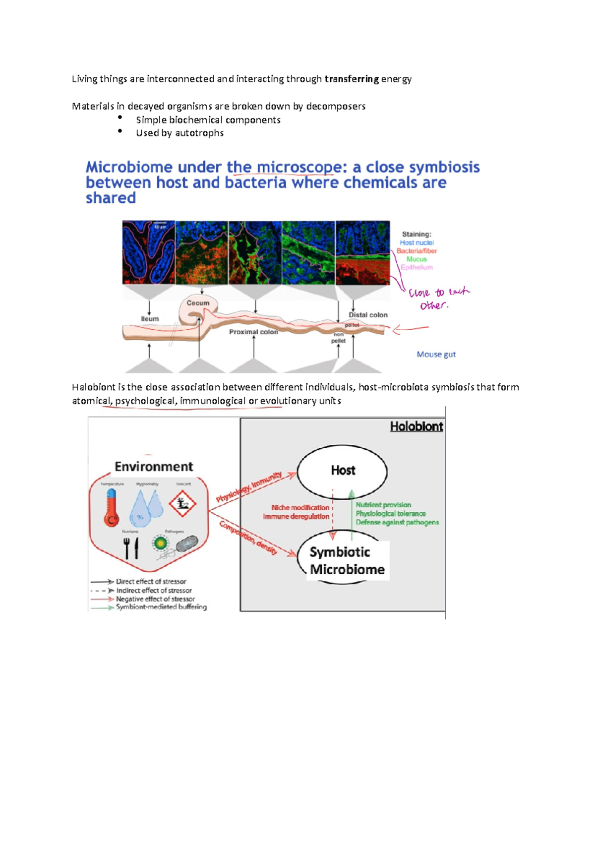 Lecture 11 BIOL10010 - CLASS NOTES - BIOL10010 - Living things are ...