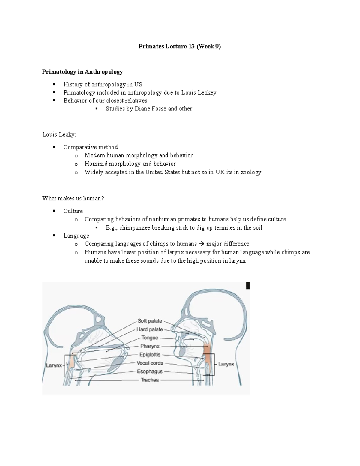 Week 9 Primates Lecture - Primates Lecture 13 (Week 9) Primatology in ...