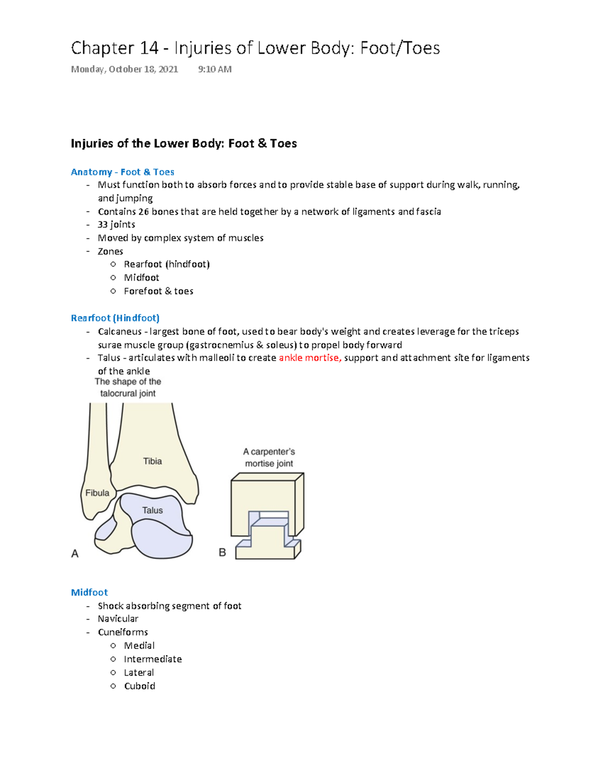 Kines 266 CH14 - Notes from lecture - Injuries of the Lower Body: Foot ...