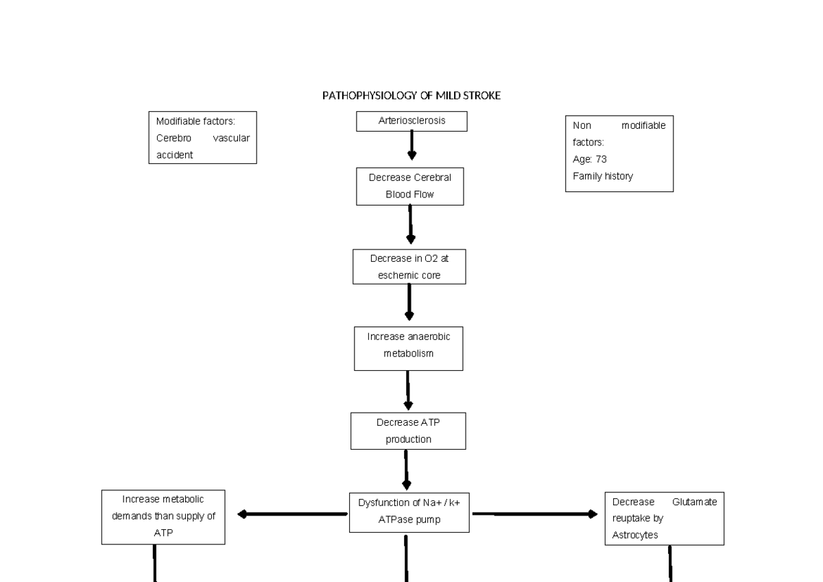 Pathophysiology OF MILD Stroke - PATHOPHYSIOLOGY OF MILD STROKE ...