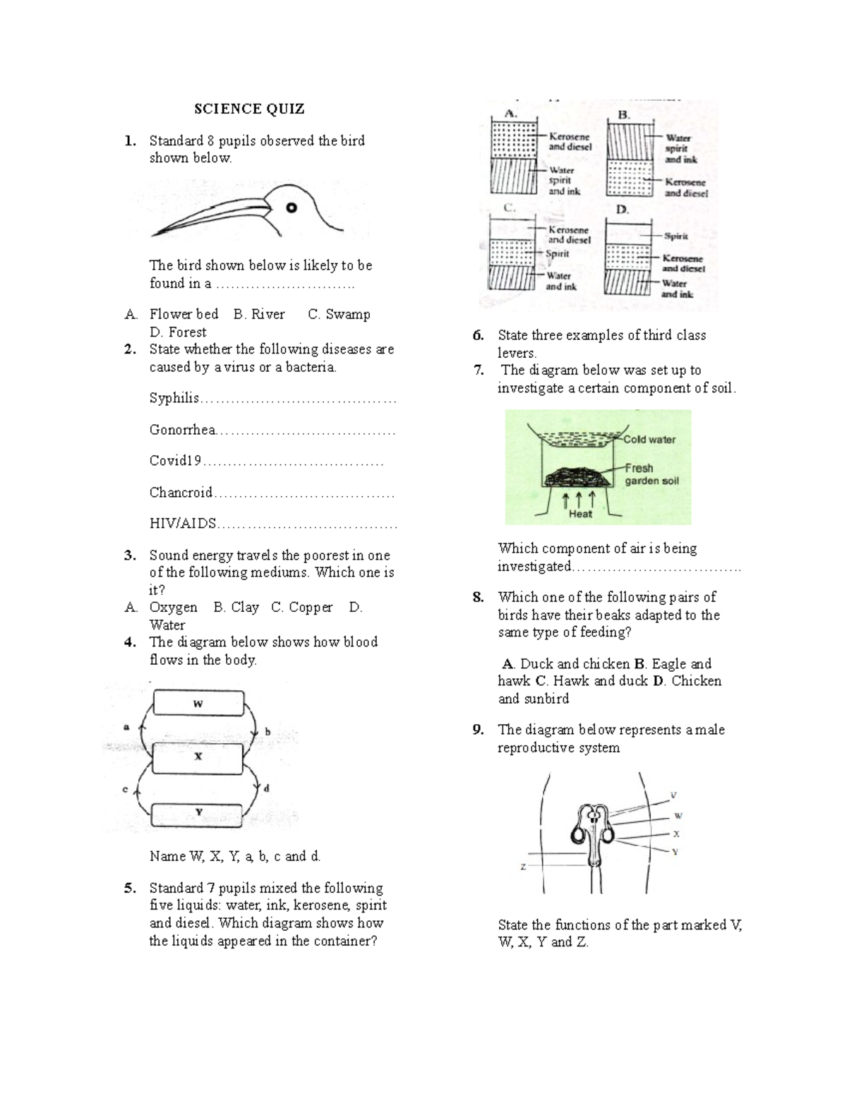 Standard 8 quiz - SCIENCE QUIZ Standard 8 pupils observed the bird ...