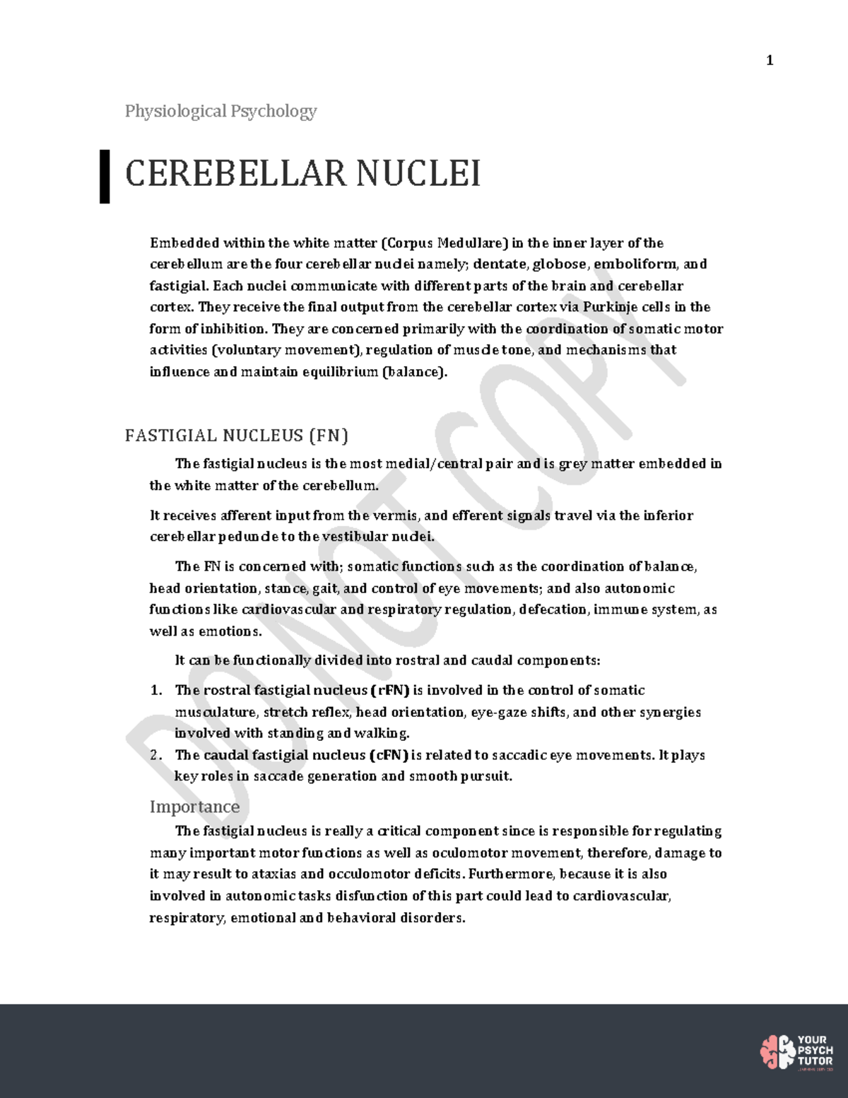 Cerebellar Nuclei - 1 Physiological Psychology CEREBELLAR NUCLEI ...