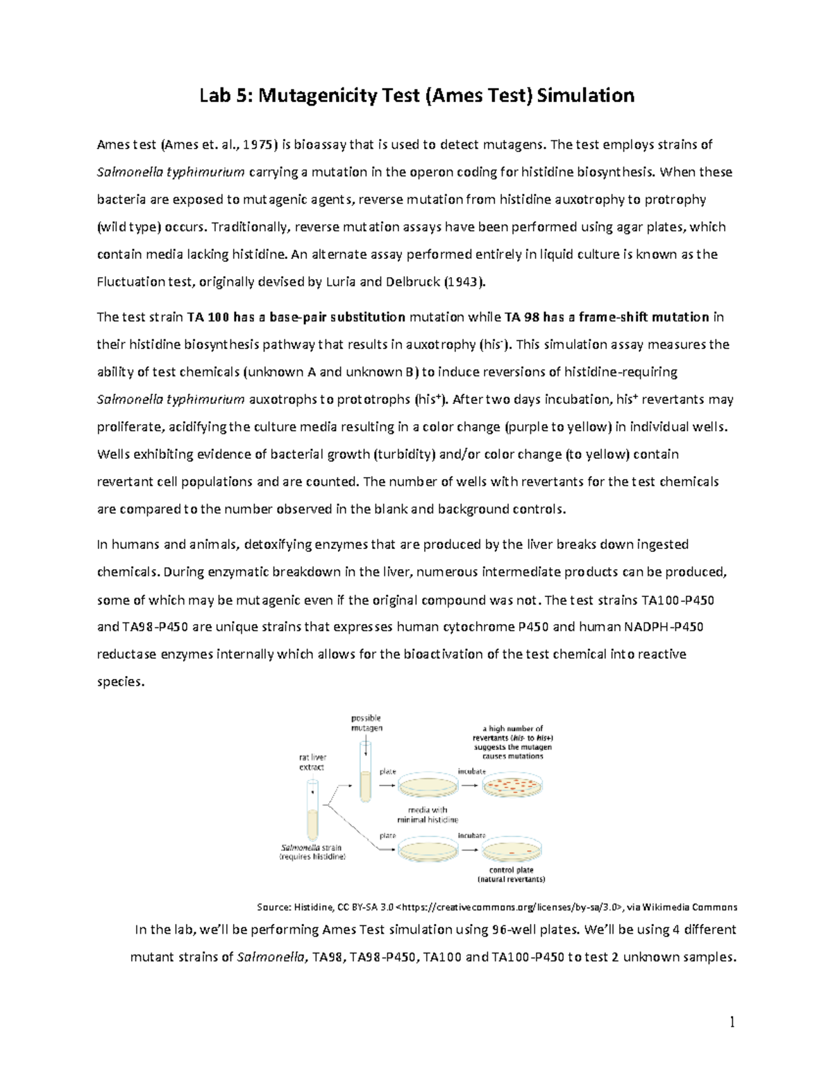 Lab 5 Simulated Ames Test2 - Lab 5 : Mutagenicity Test (Ames Test ...