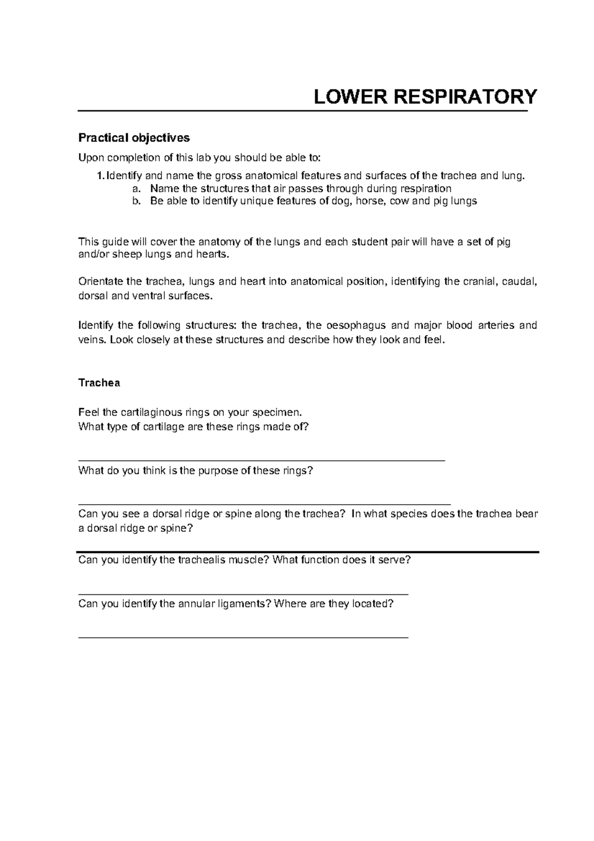 Lower respiratory - LOWER RESPIRATORY Practical objectives Upon ...
