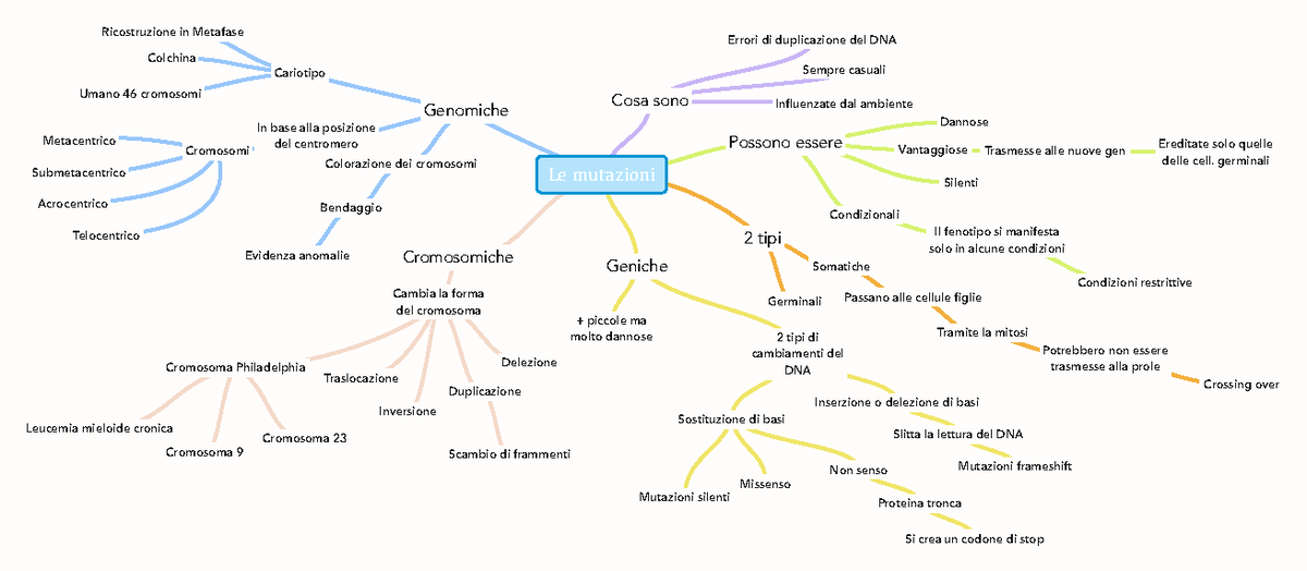 Le mutazioni - Riassunto Genetica - Le mutazioni Cosa sono Errori di ...