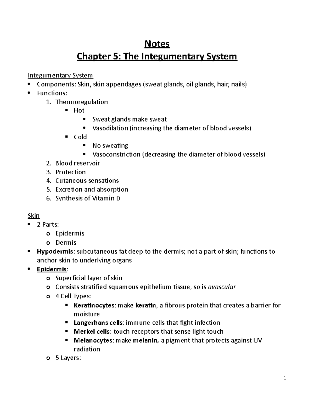 Chapter 5 Notes: The Integumentary System - Notes Chapter 5: The ...