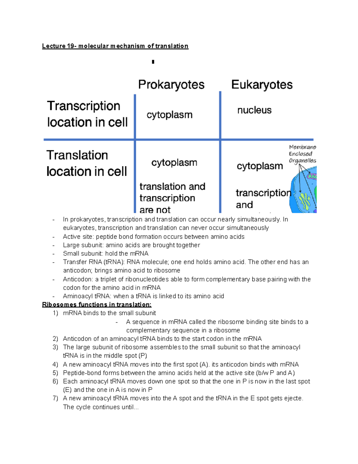 BIO113- lecture 19 - Dr. Marcus Notes - Lecture 19- molecular mechanism ...