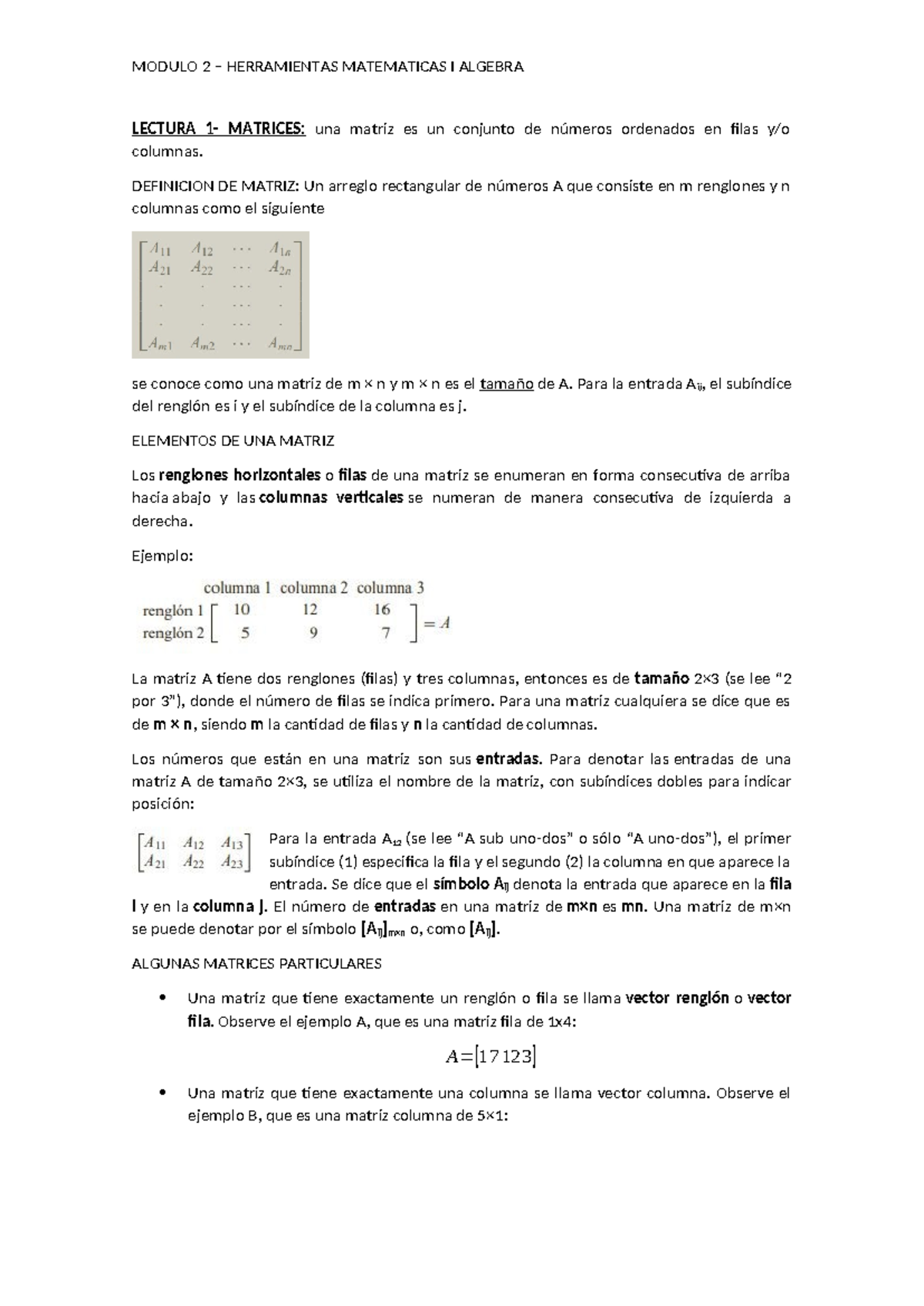 Resumen M2 Algebra - LECTURA 1- MATRICES: una matriz es un conjunto de ...
