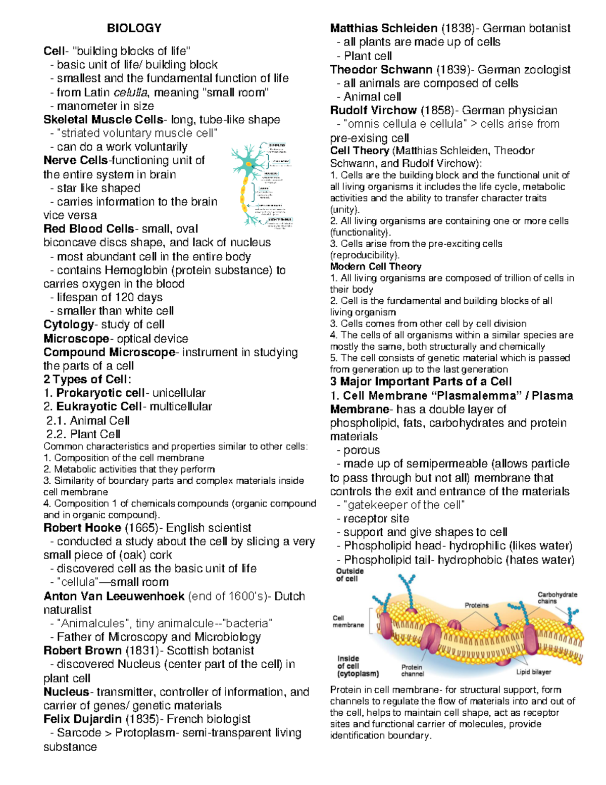 Biology - Lesson - BIOLOGY Cell- "building blocks of life" - basic unit ...