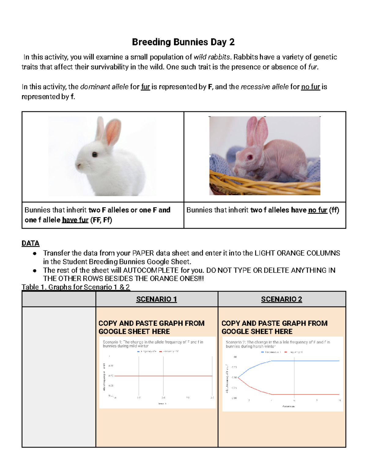 Copy of Breeding Bunnies analysis MH - Breeding Bunnies Day 2 In this ...