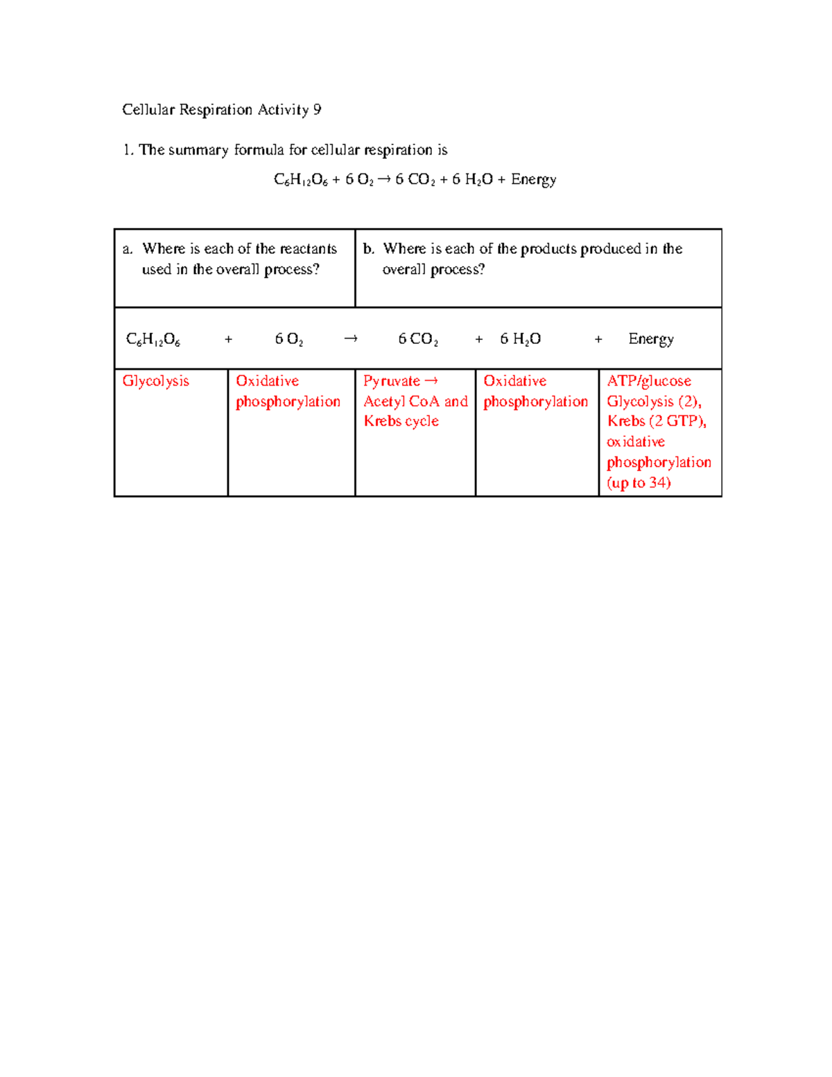 Cellular Respiration Activity 9 key - Where is each of the reactants ...