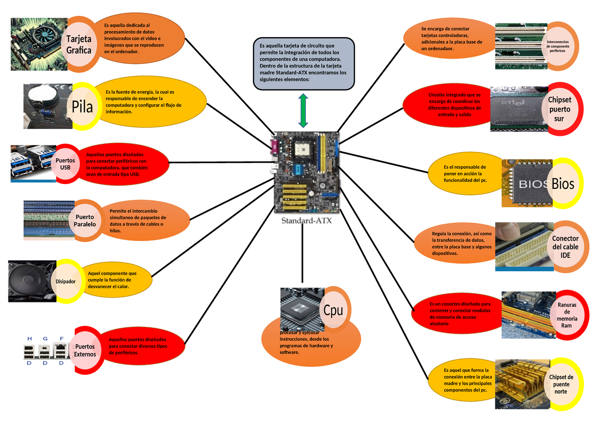 Mapa mental de placa madre Standard ATX - Es aquella dedicada al ...