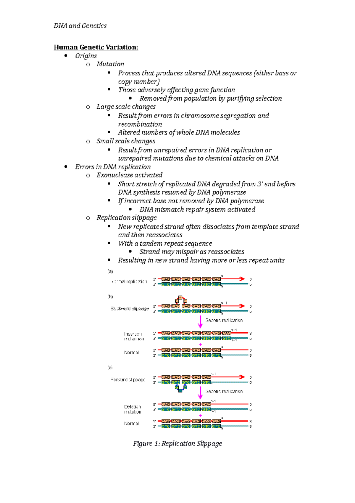 Human Genetic Variation Lecture Notes - DNA and Genetics Human Genetic ...