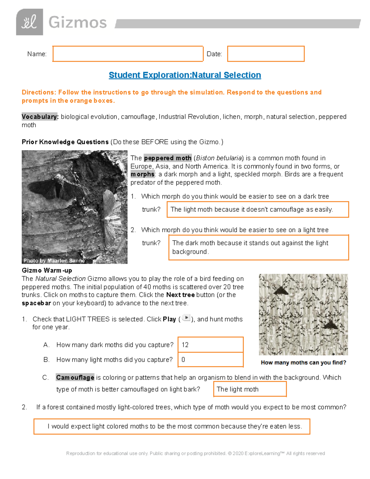 Natural Selection Gizmos Lab - Name: Date: Student Exploration:Natural ...