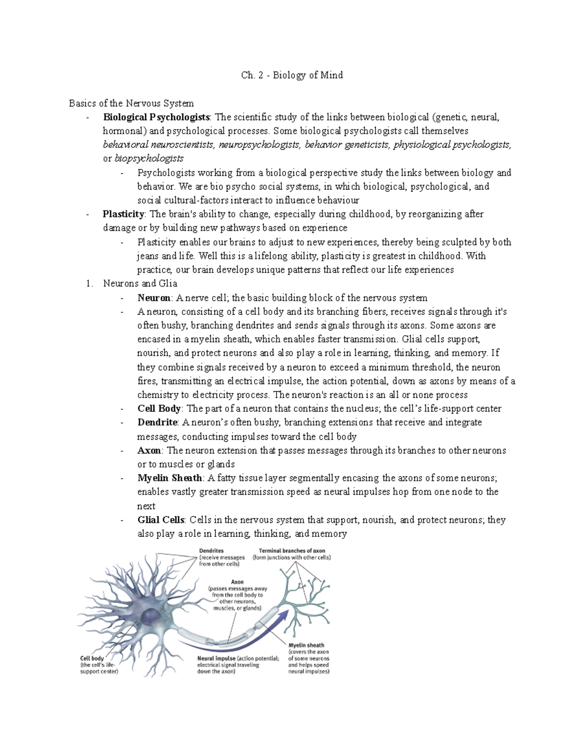 Ch. 2 - Biology of the Mind - Ch. 2 - Biology of Mind Basics of the ...